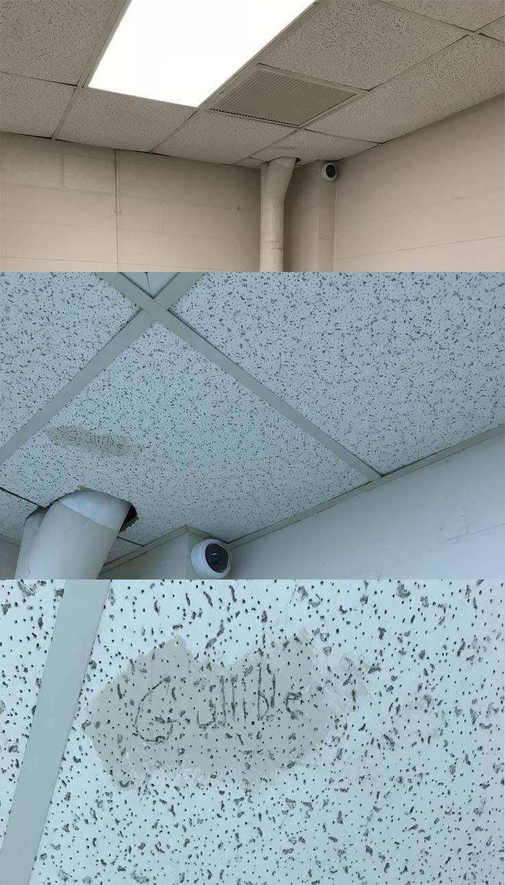 No really, I swear it does!! | Scrolller