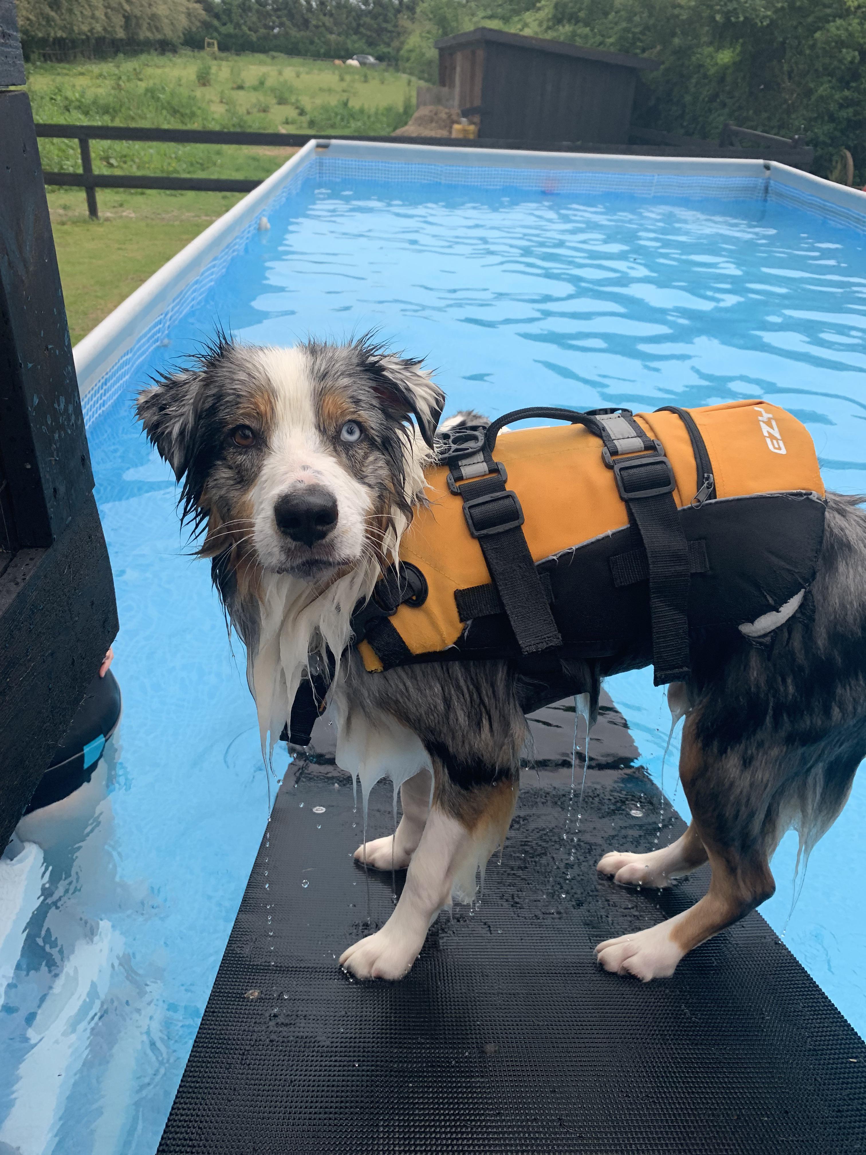 No time to explain! Jump in! | Scrolller