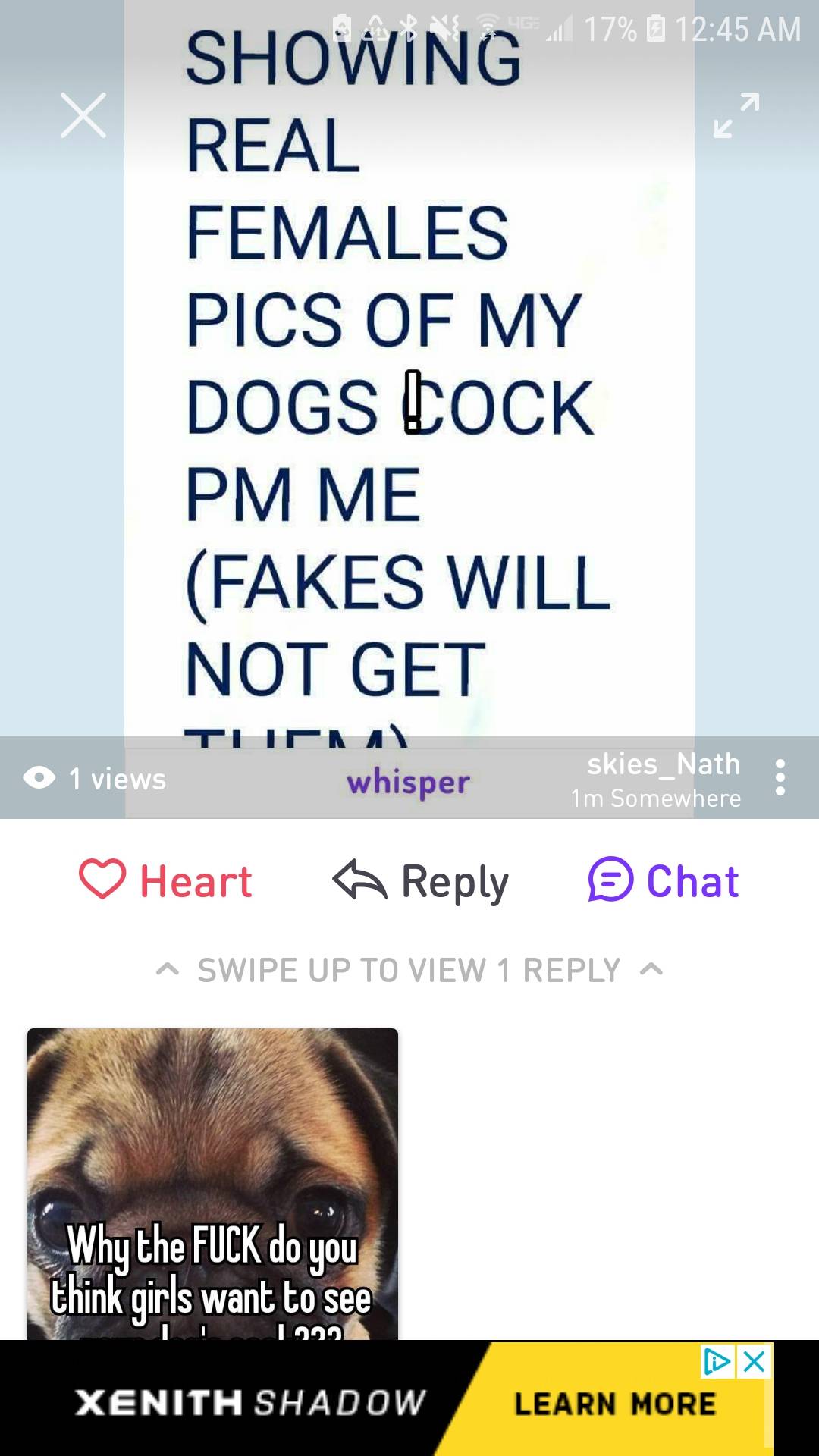 no title is necessary... | Scrolller