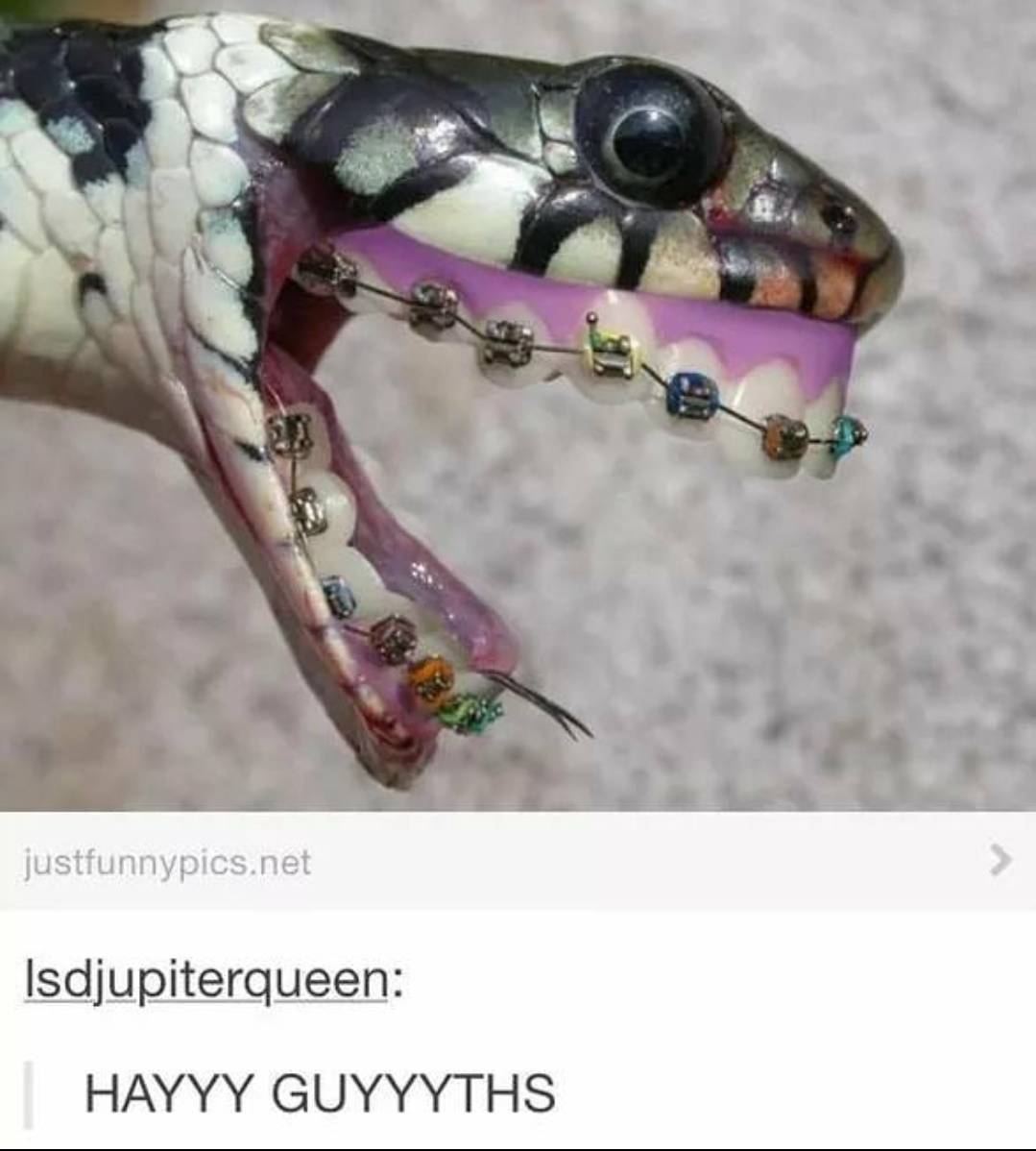 Nobody: Berlin: | Scrolller