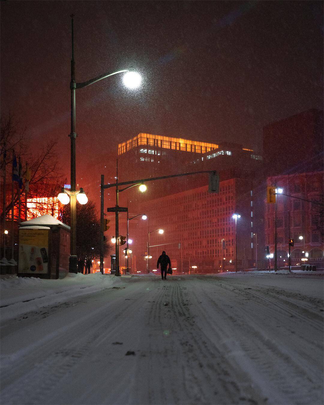 Nocturnal Nights | Ottawa | Scrolller