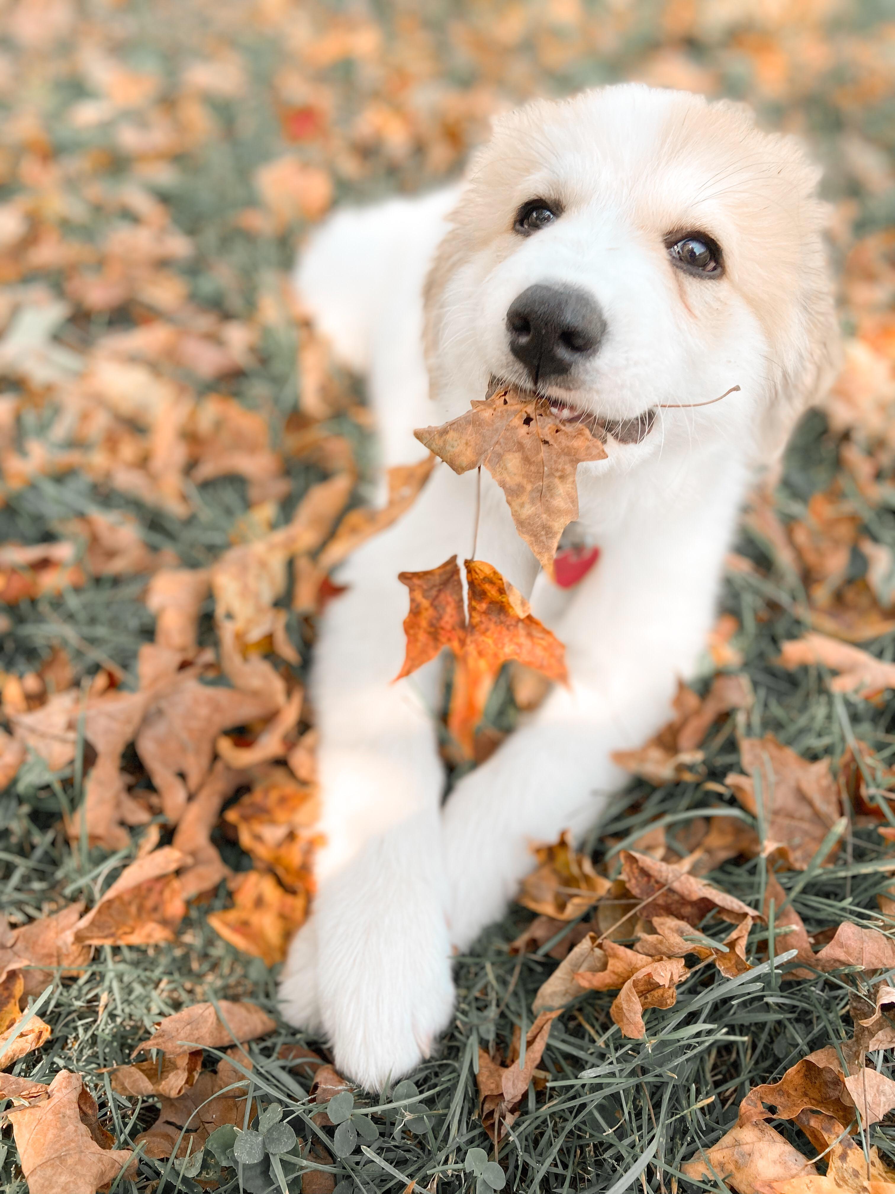 Nom Nom Nom | Scrolller