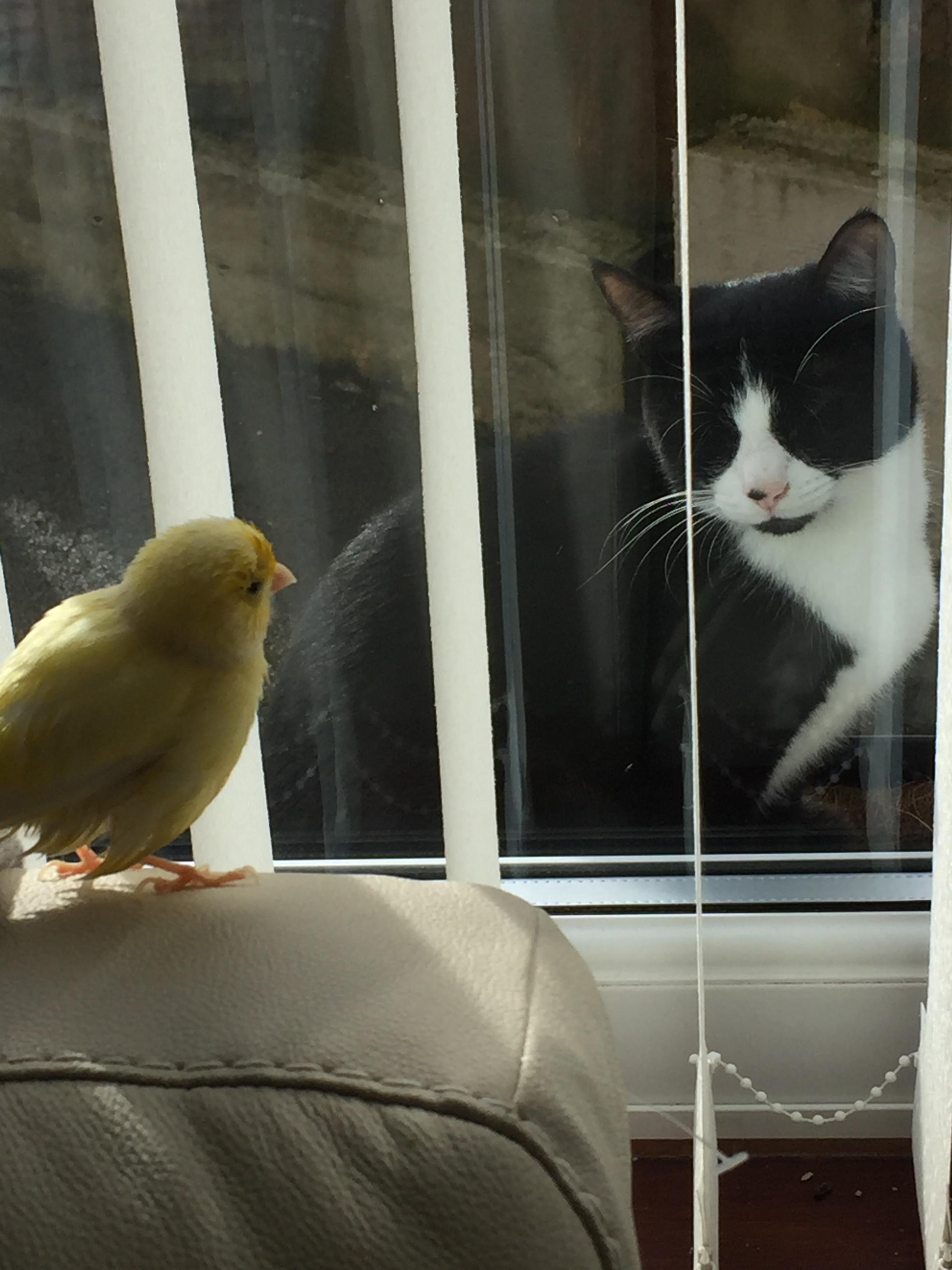 Not afraid! | Scrolller