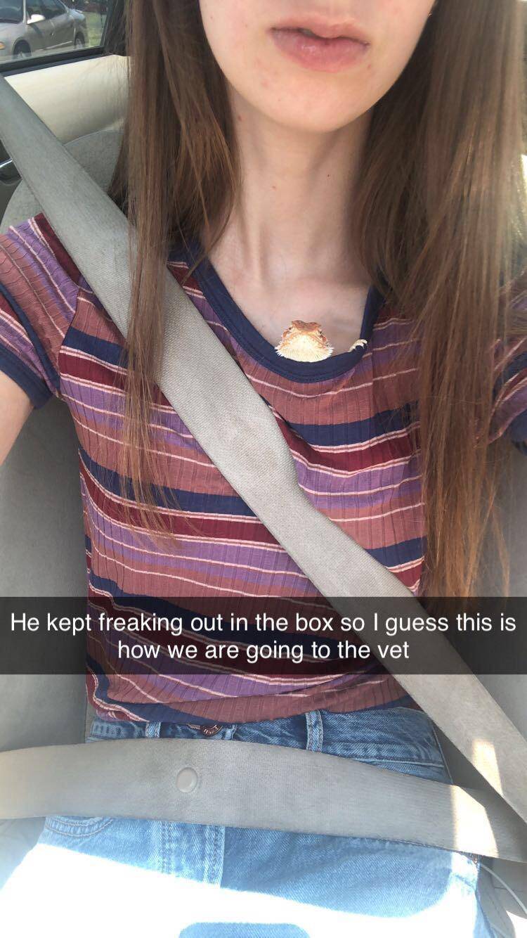 Not gonna go in the box! | Scrolller