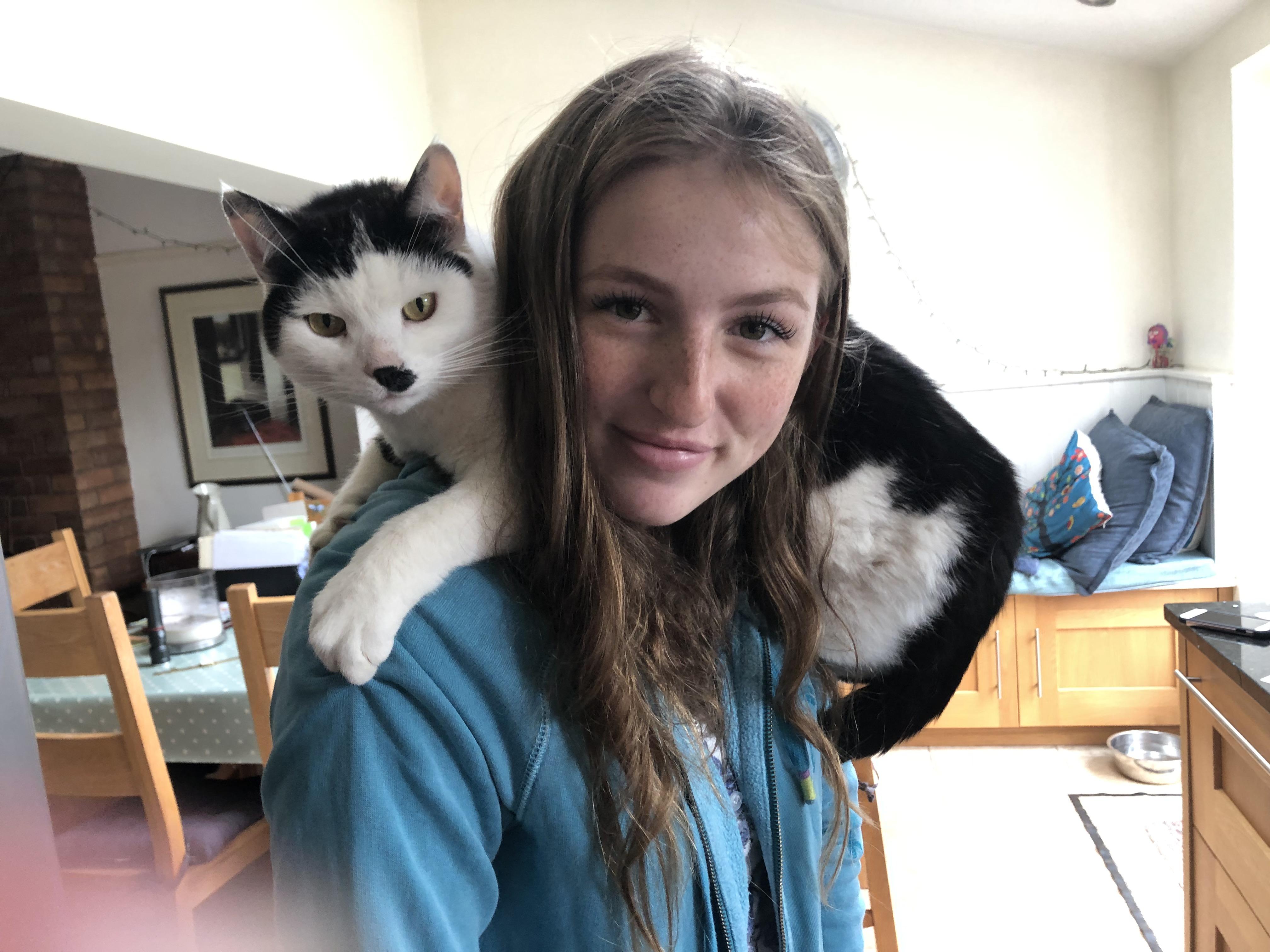 Not only my first shoulder cat but my first shoulder Kitler! | Scrolller