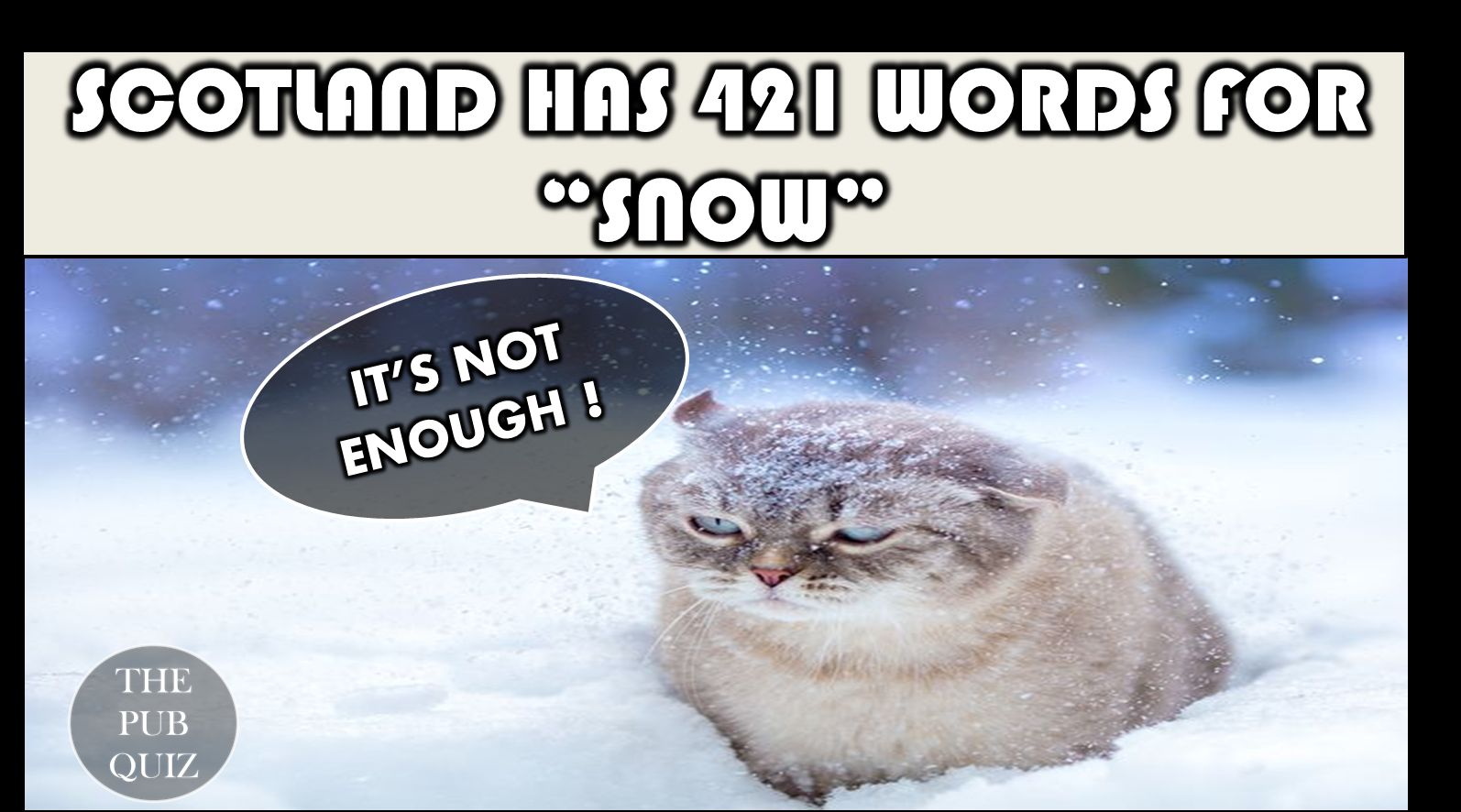 Not Surprising Really | Scrolller