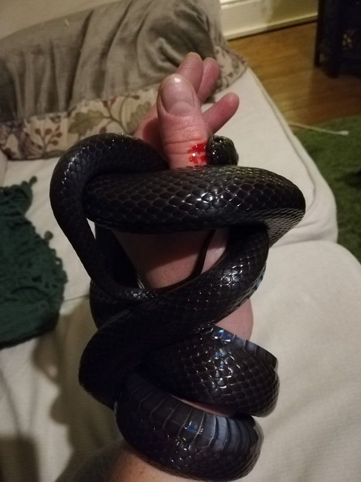 Not terrifically bright, but quite pointy | Scrolller