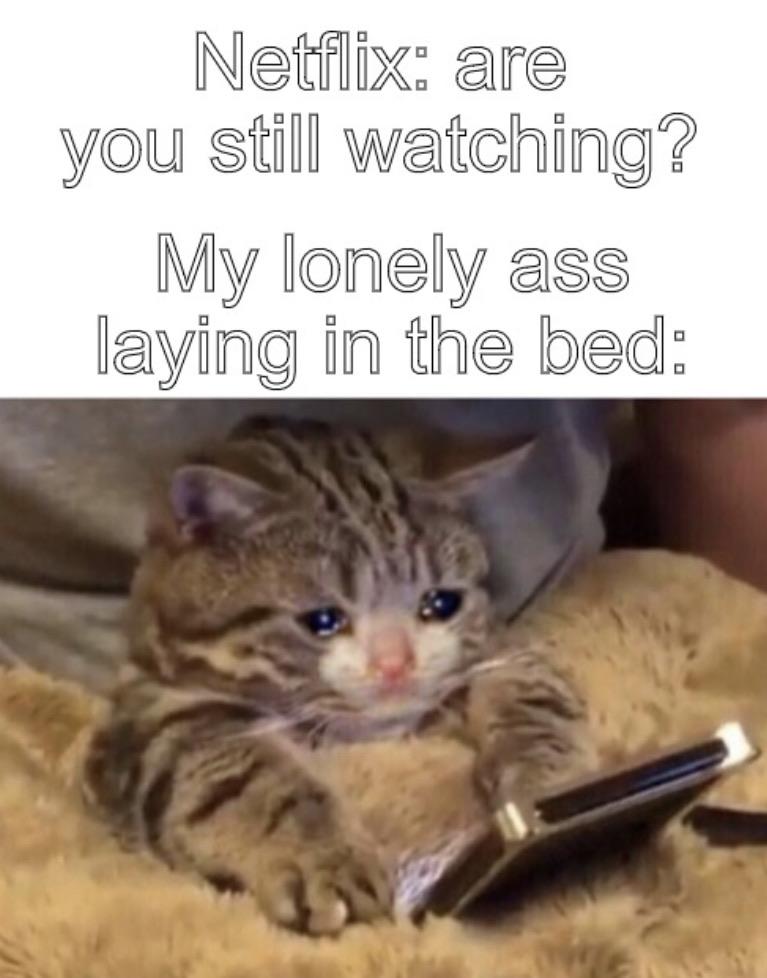 Nothing changes in my life | Scrolller