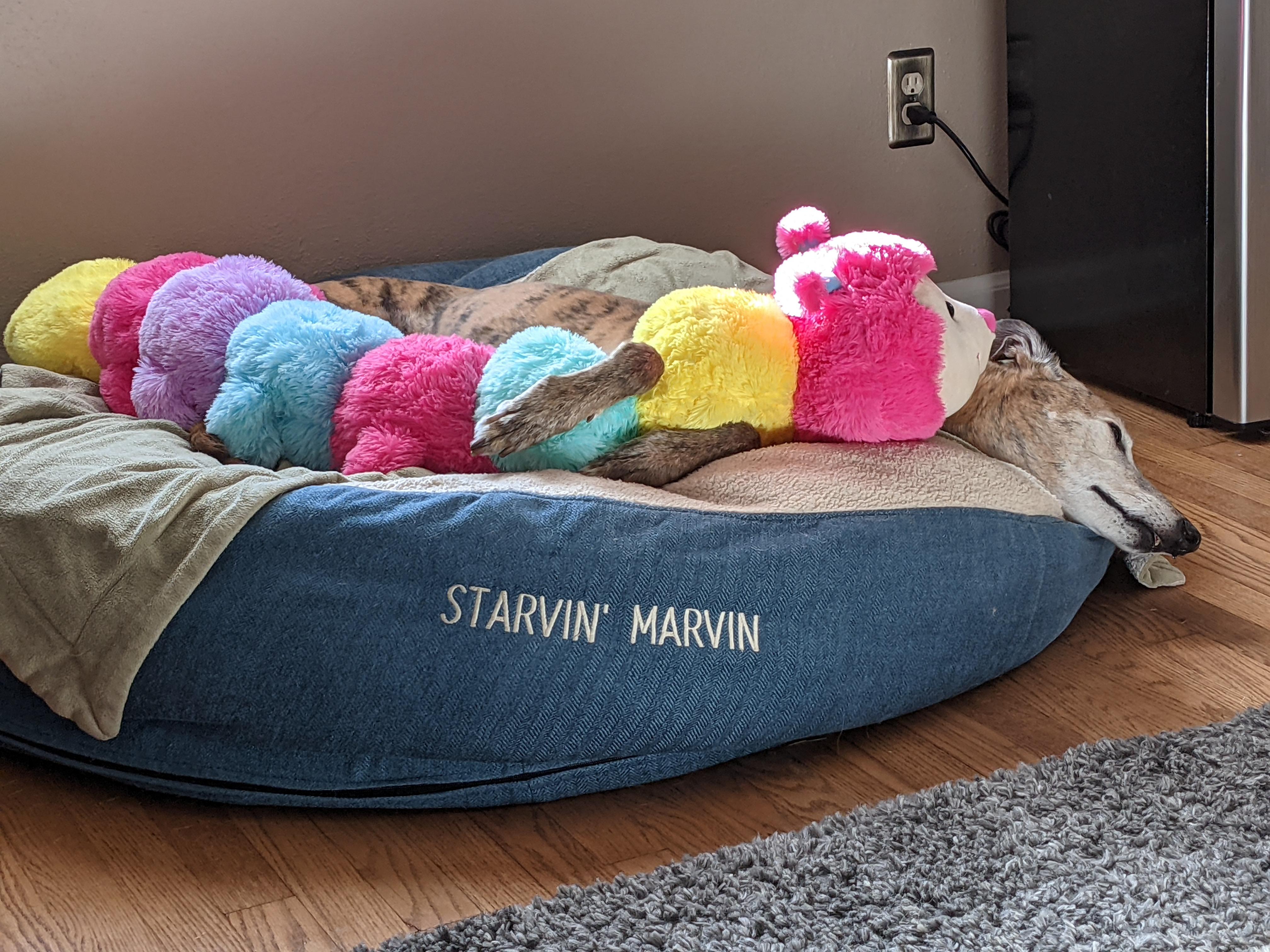 Nothing takes the load off old man bones like cuddling a stuffy best friend | Scrolller