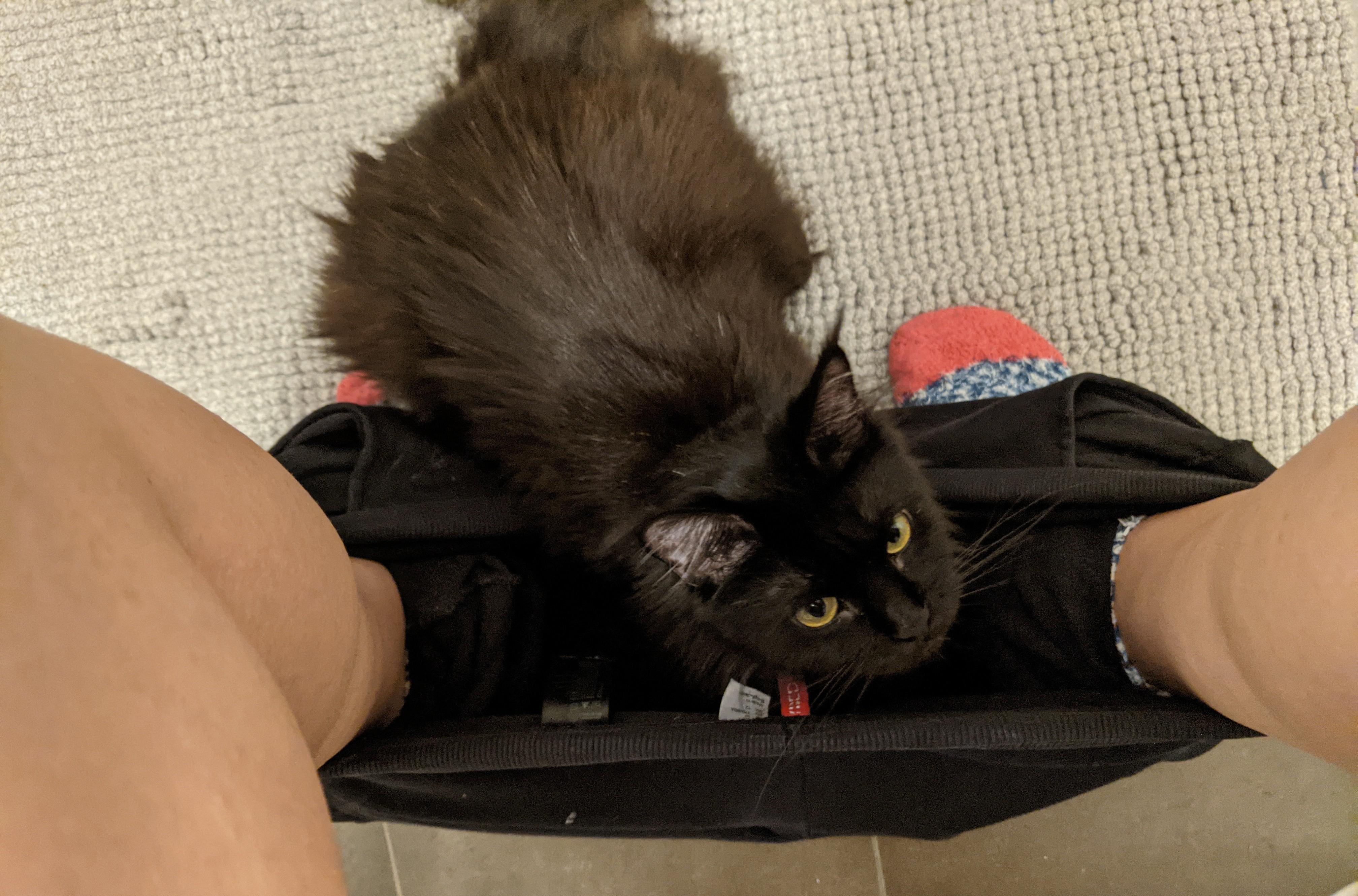 Nova knows no boundaries | Scrolller