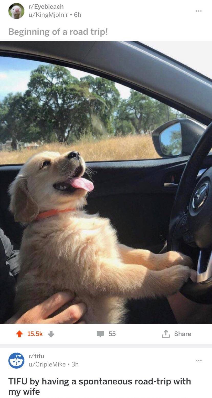 Now that’s spontaneous | Scrolller