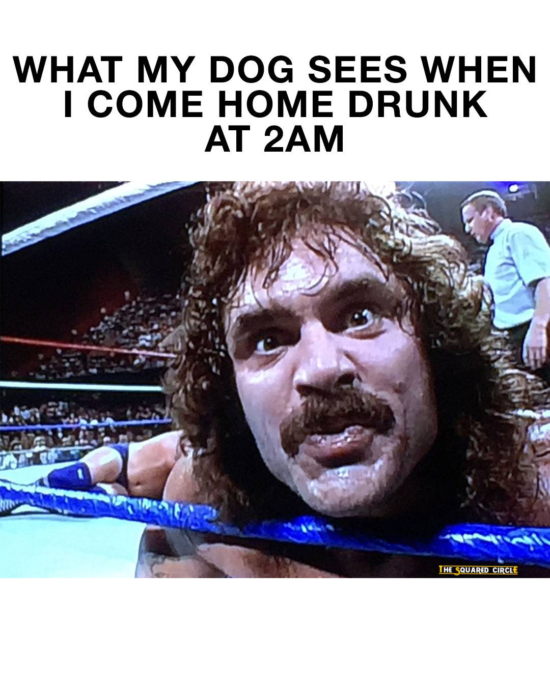 Now THAT'S a rude awakening | Scrolller