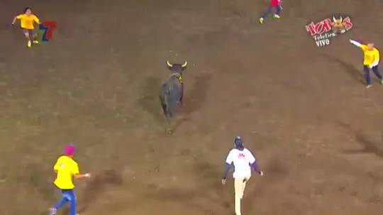 Now that's just overkill | Scrolller