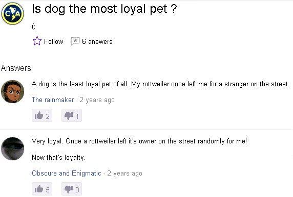 Now that's loyalty! | Scrolller