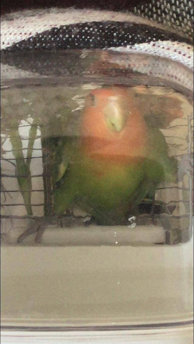 now this is an avengers level threat | Scrolller