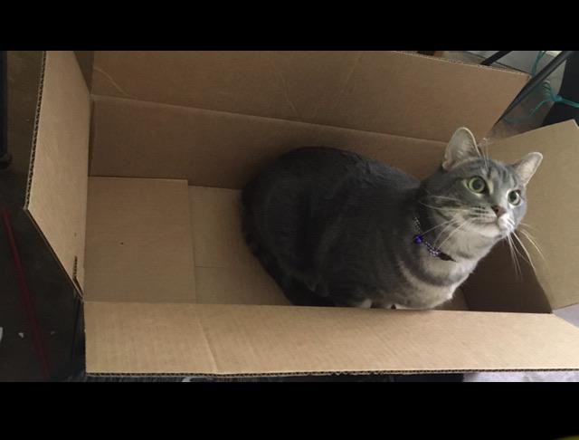 Now you can see her face! She likes the chewy trap | Scrolller