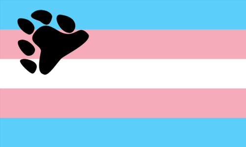 Nsfw and sfw welcome! Ftm bears ! | Scrolller