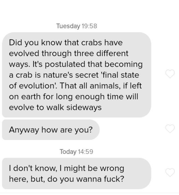 [NSFW] What a gentleman, shares a fact, asks you how you are and, gets to the point. Unmatched ...
