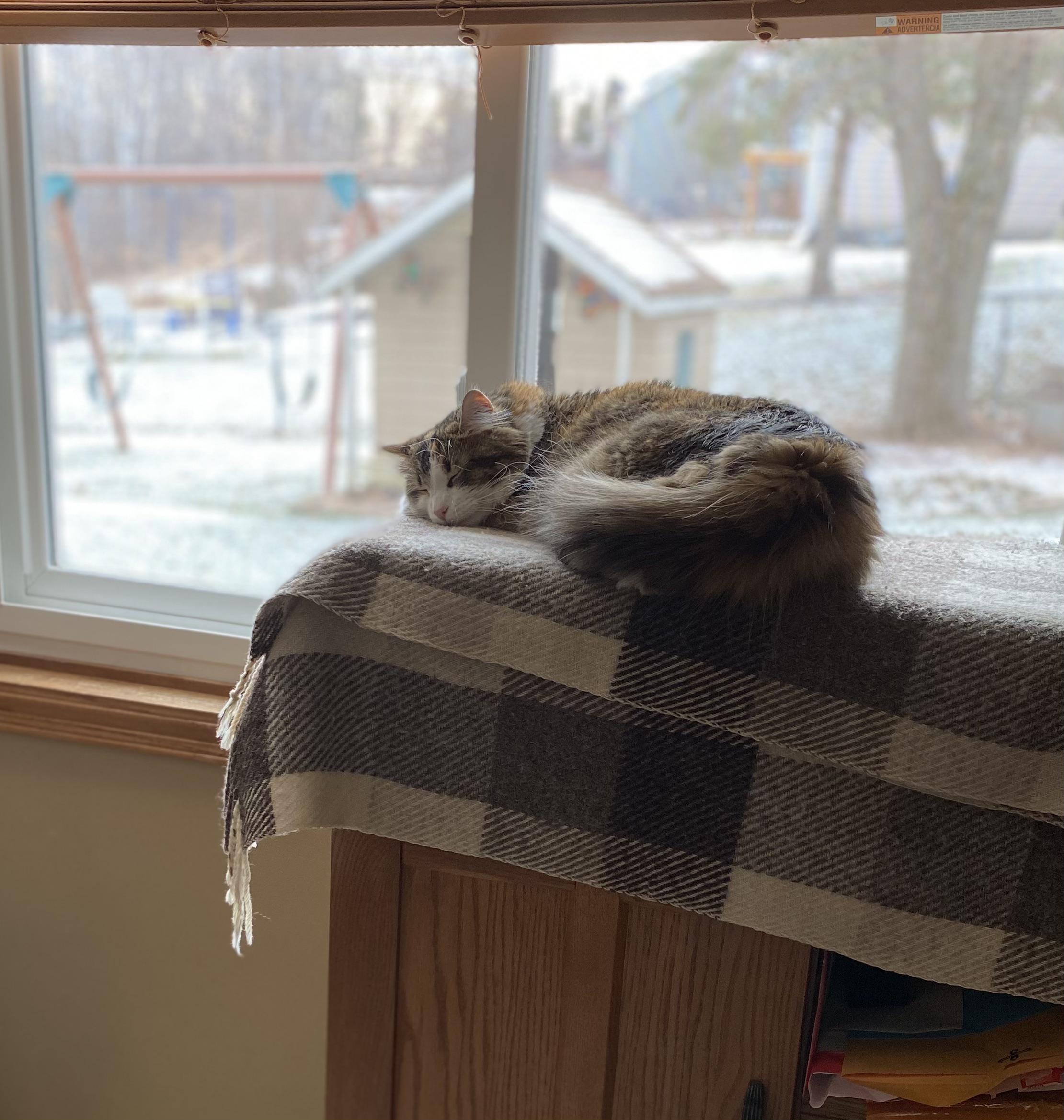 NTBDBIWDF this sleepy snow angel | Scrolller