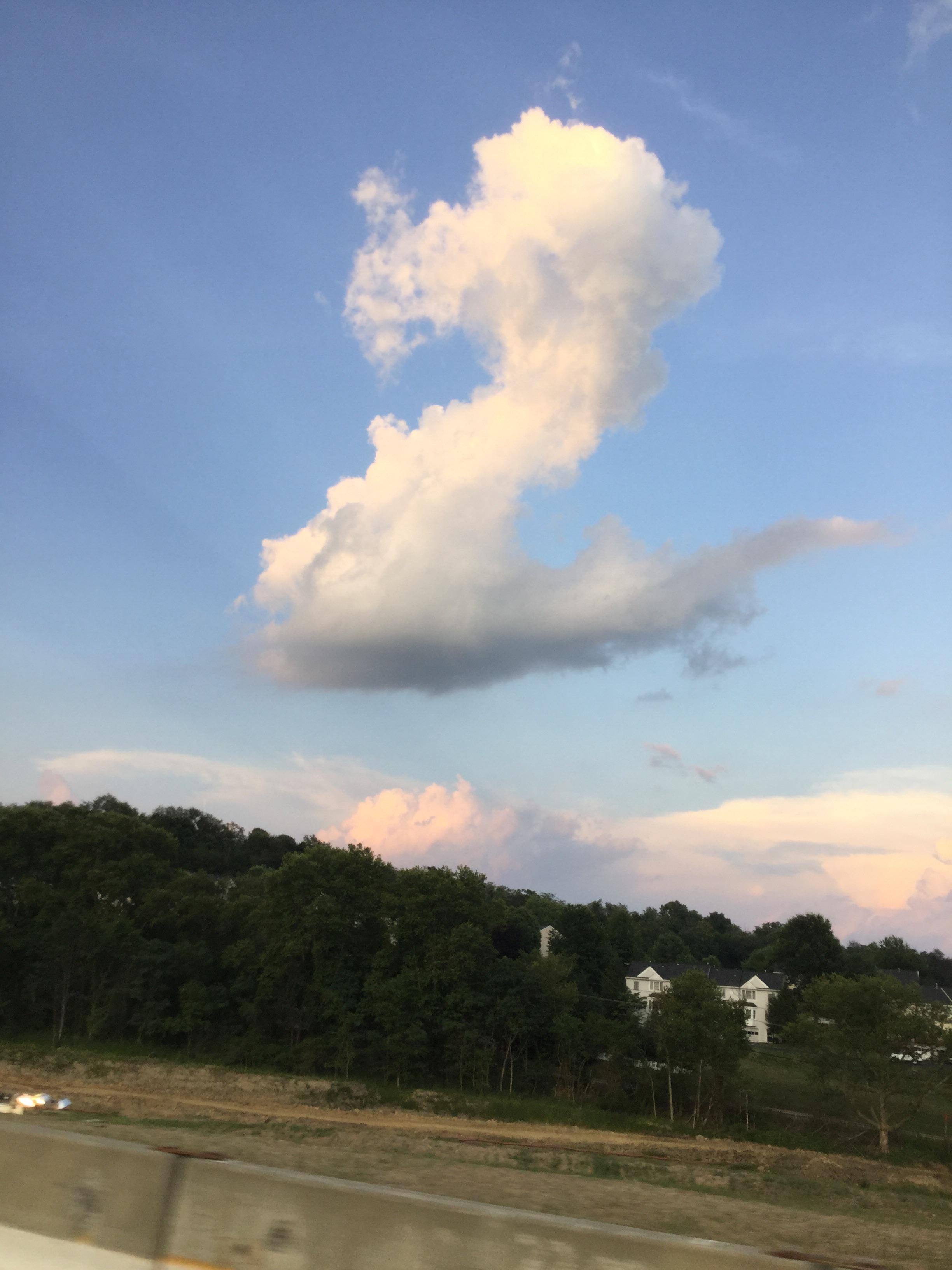 Number 2 | Scrolller