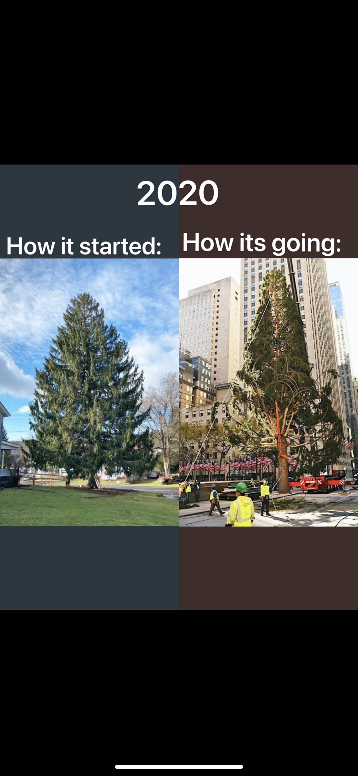 Nyc 2020 Rockefeller center Christmas tree | Scrolller