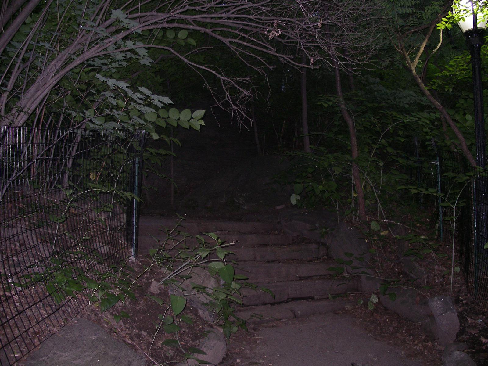 NYC, Central Park at dusk | Scrolller