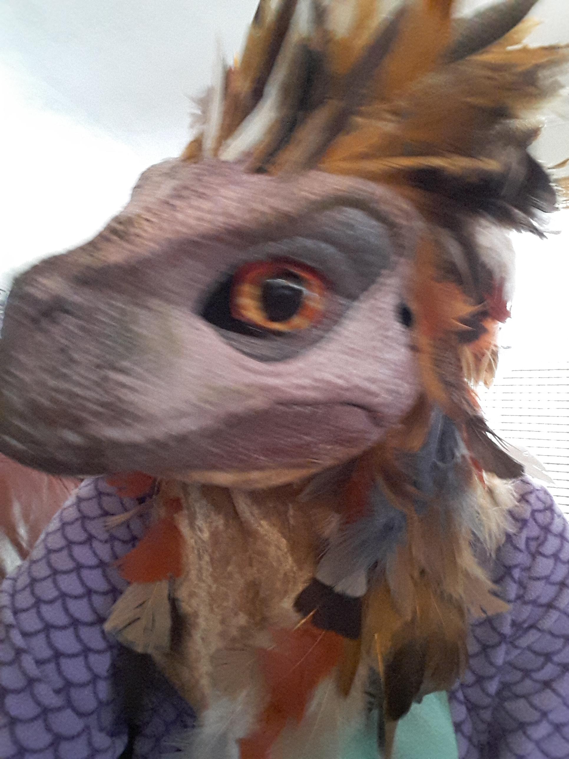 Nyoom- here's Ducky the Utahraptor! | Scrolller