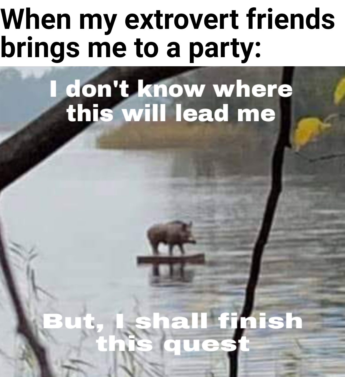 Objective: Survive | Scrolller