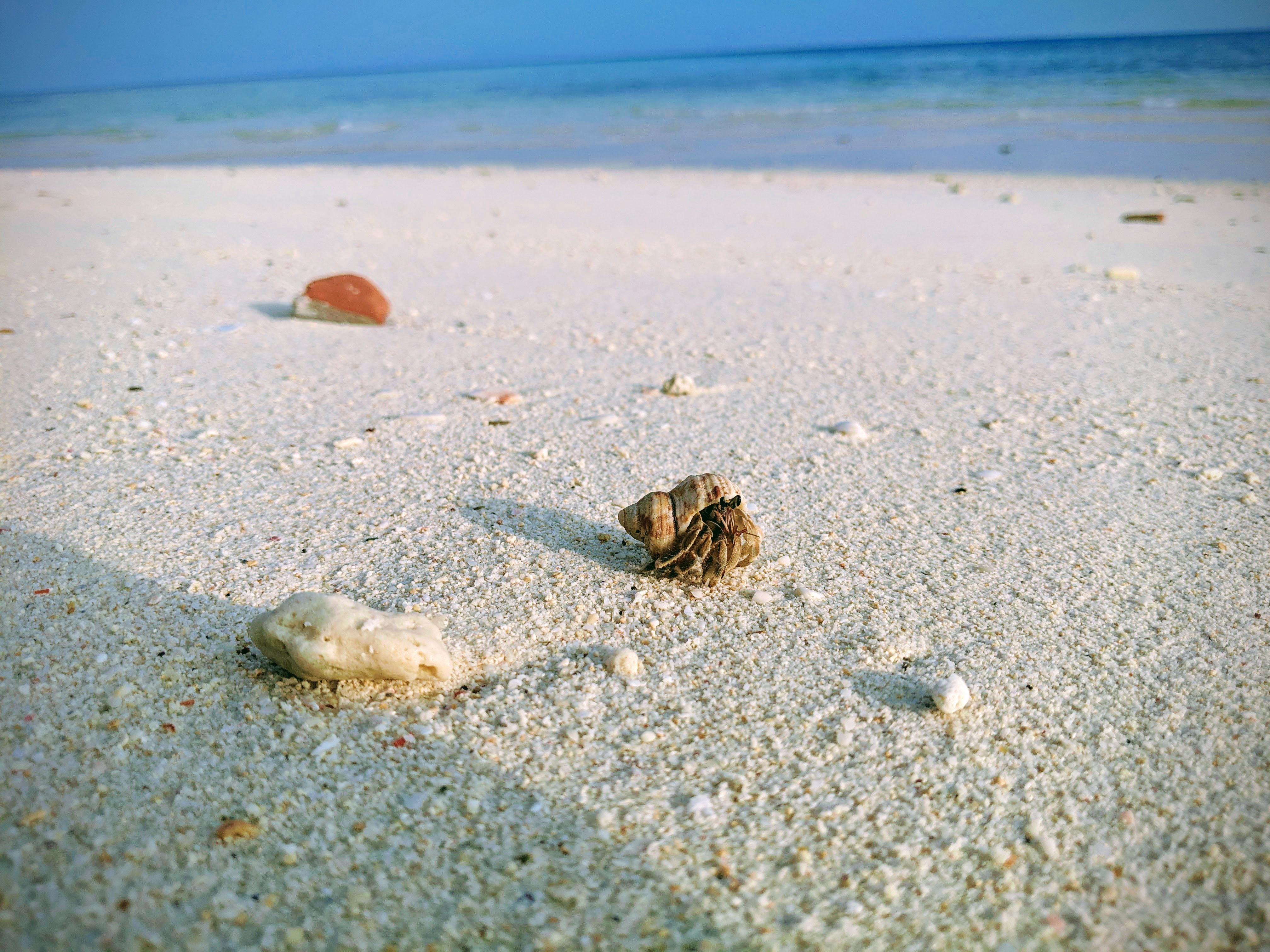 [OC] Bamboo Island, Near Krabi, Thailand | Scrolller
