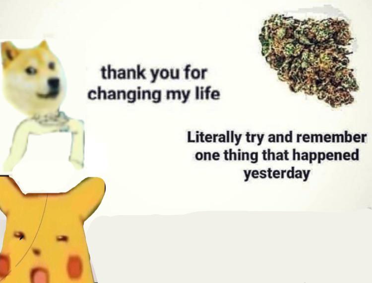 Oc enjoy and forget | Scrolller