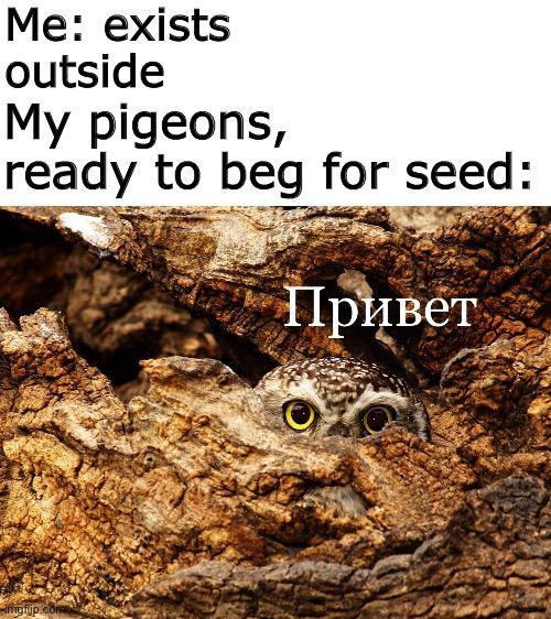 Oc maymay for other feral feeders | Scrolller