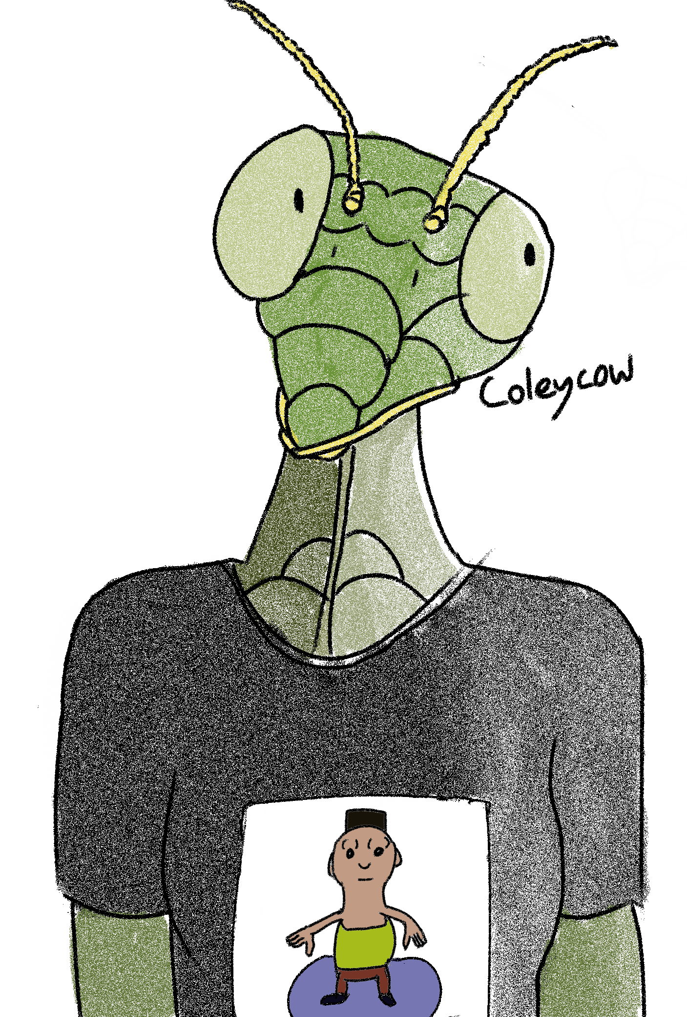 [ OC ] Praying Mantis, drawn by me | Scrolller