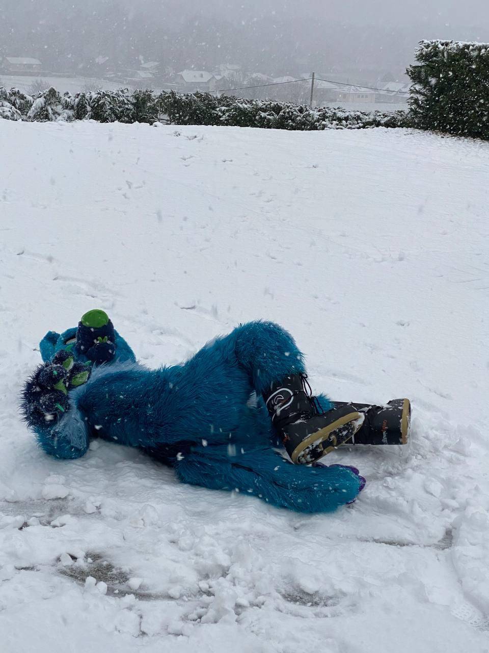 [OC] Snow flop | Scrolller