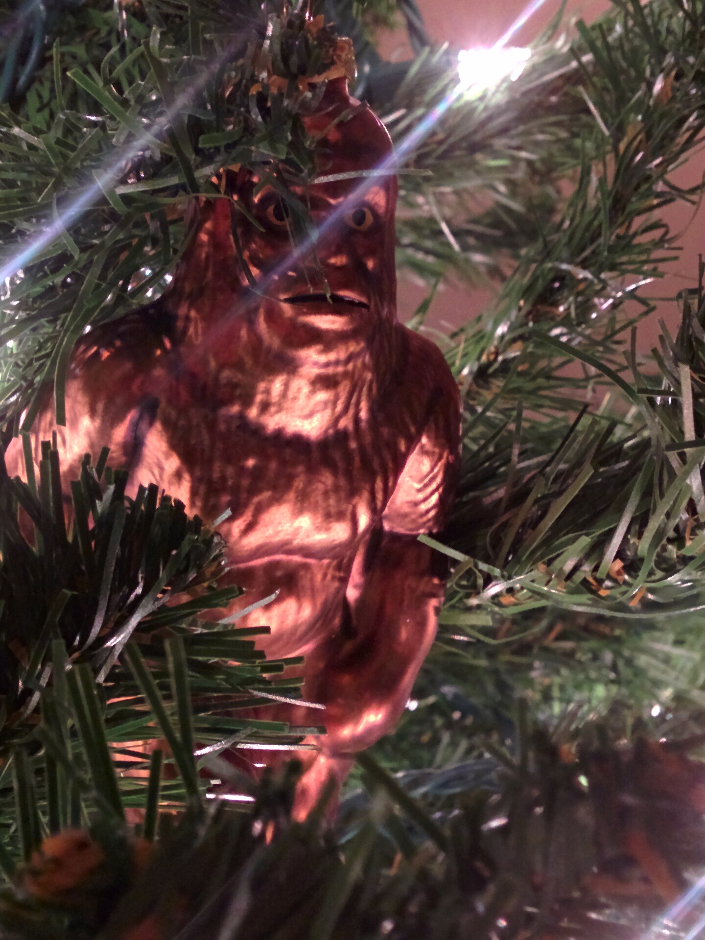 [OC] Spotted something in a tree... | Scrolller