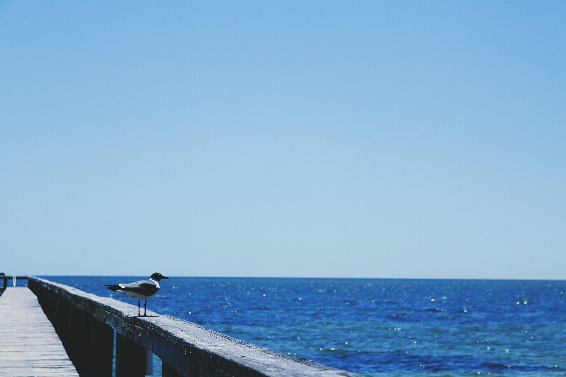 [OC] St. Teresa, Fl | Scrolller