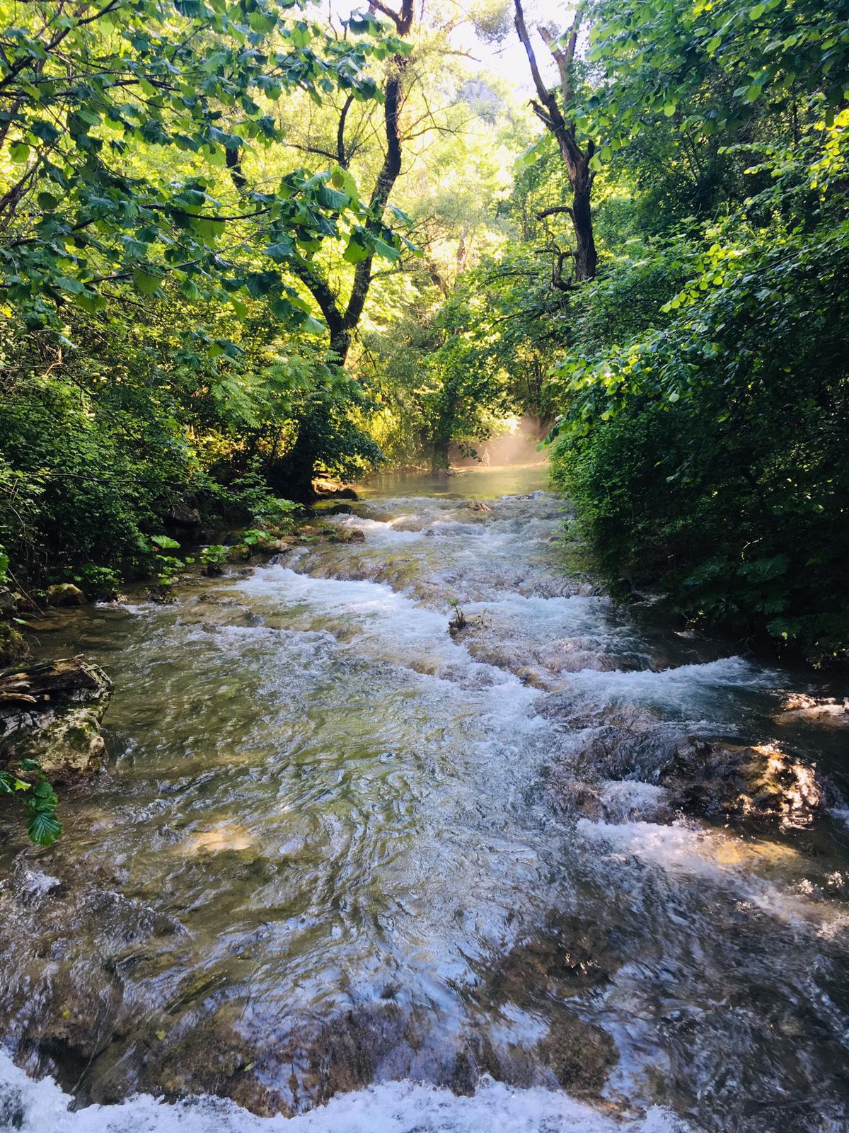 Ochiu beiului loading | Scrolller