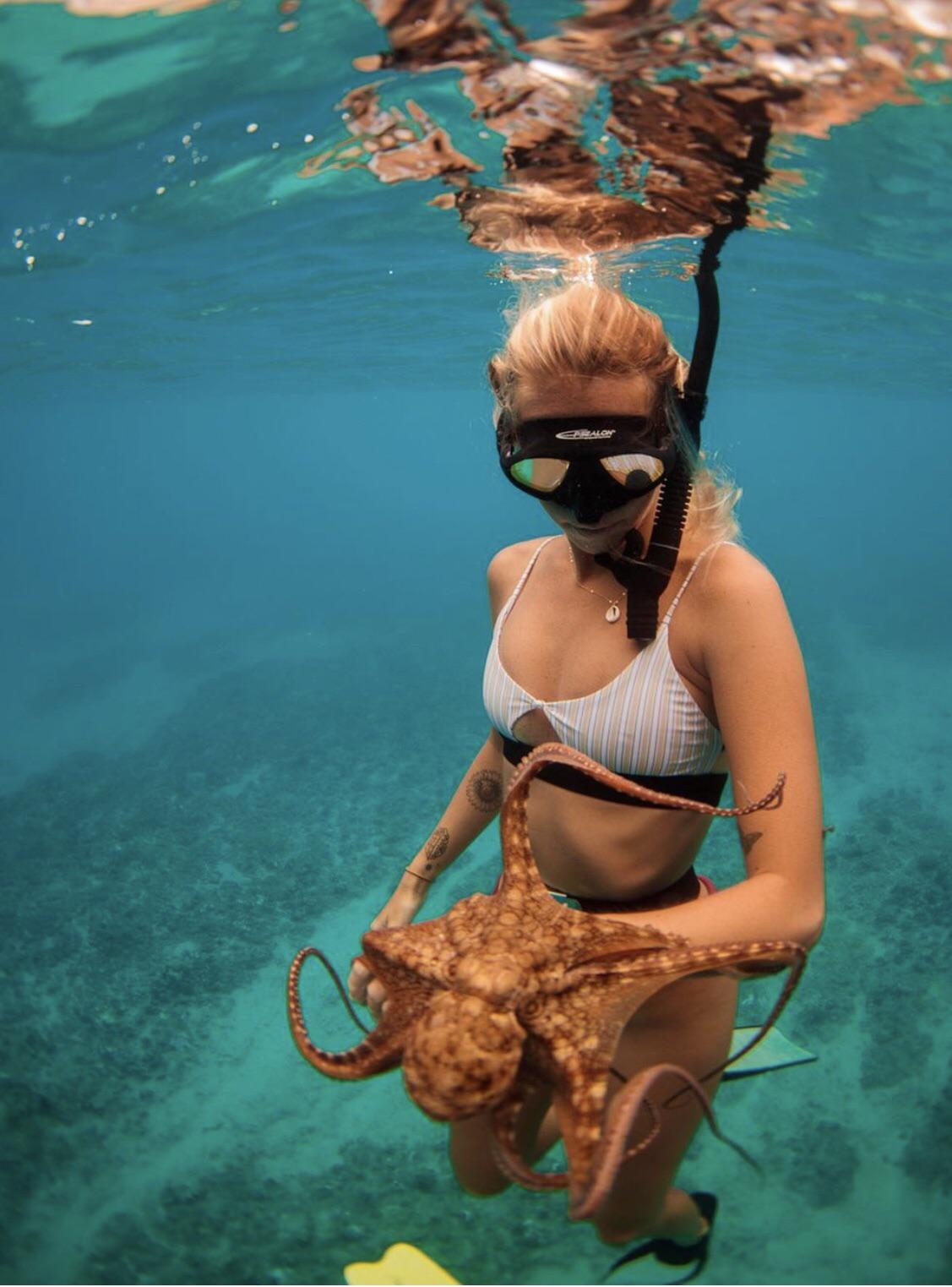 Octopus Anyone? | Scrolller