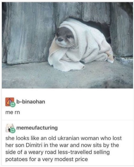 Oddly specific but that’s fine | Scrolller