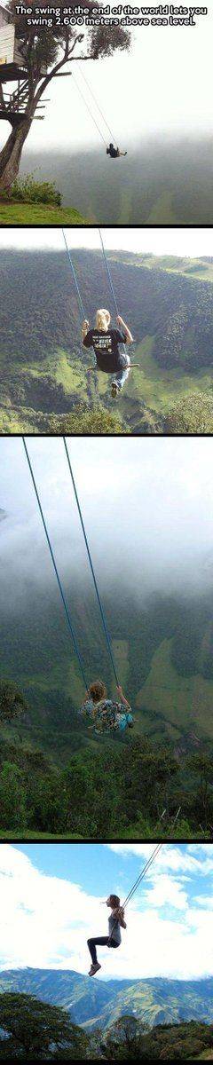 Oh hell no | Scrolller