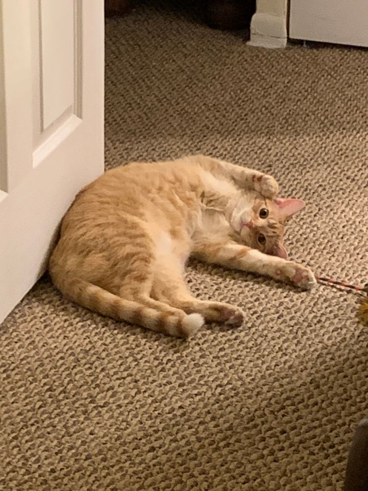 Oh, hello there. | Scrolller