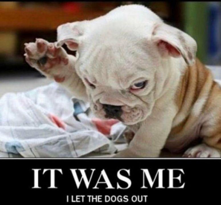 Oh no… | Scrolller