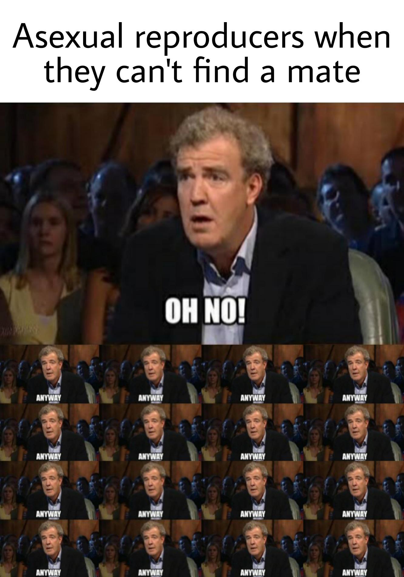 Oh no, anyway | Scrolller