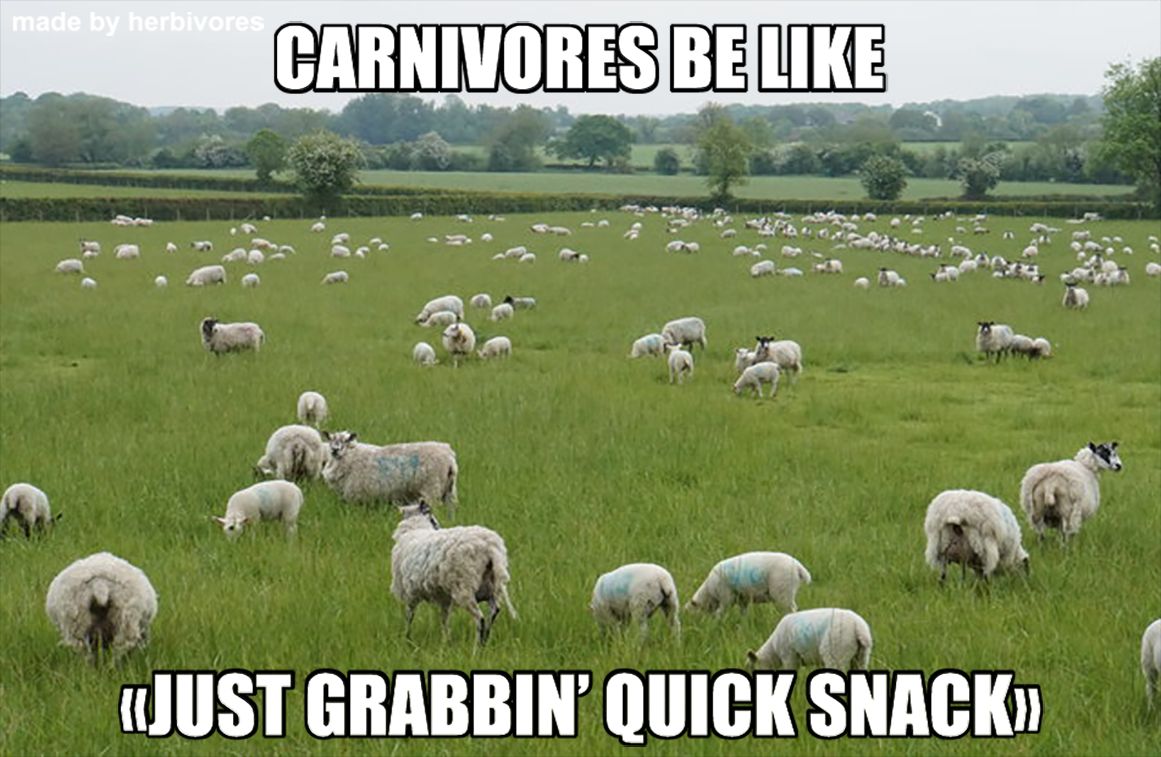 Oh, you know, these carnivores. | Scrolller