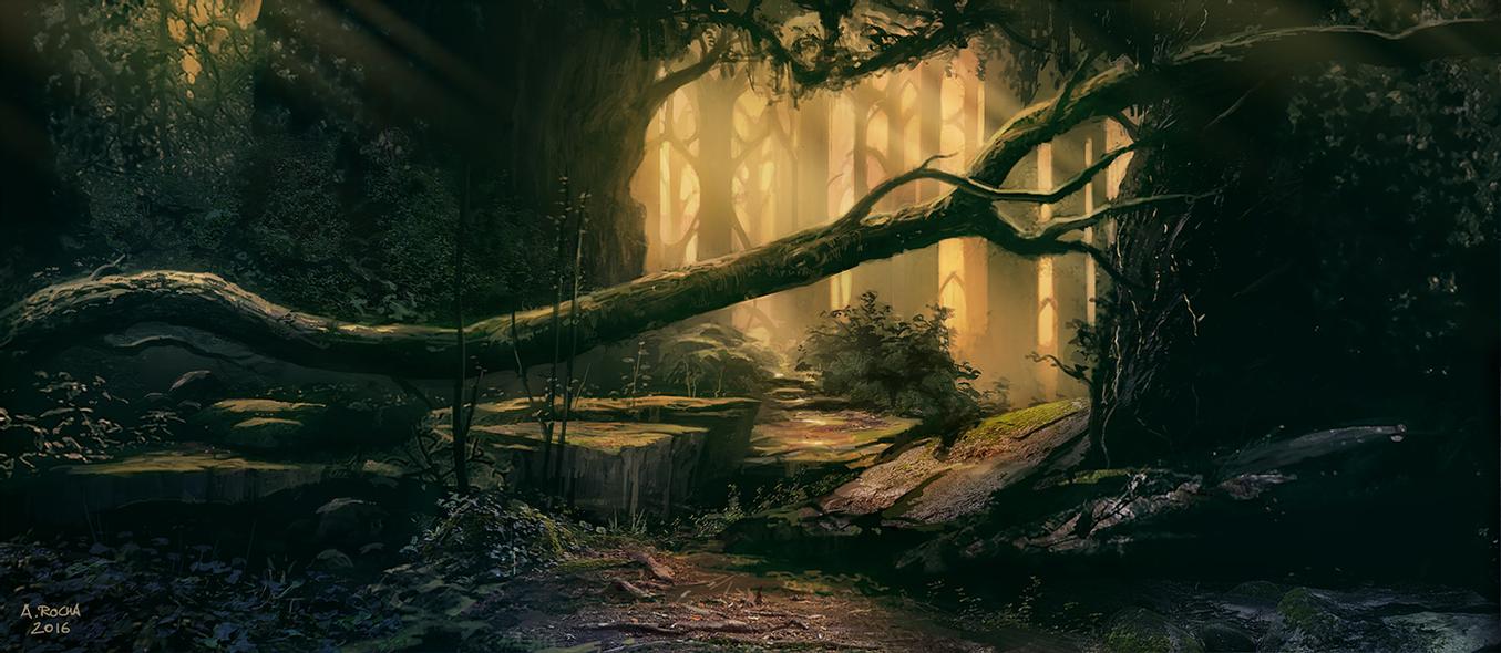Old Forest A (Patreon IP03) by Andreas Rocha | Scrolller