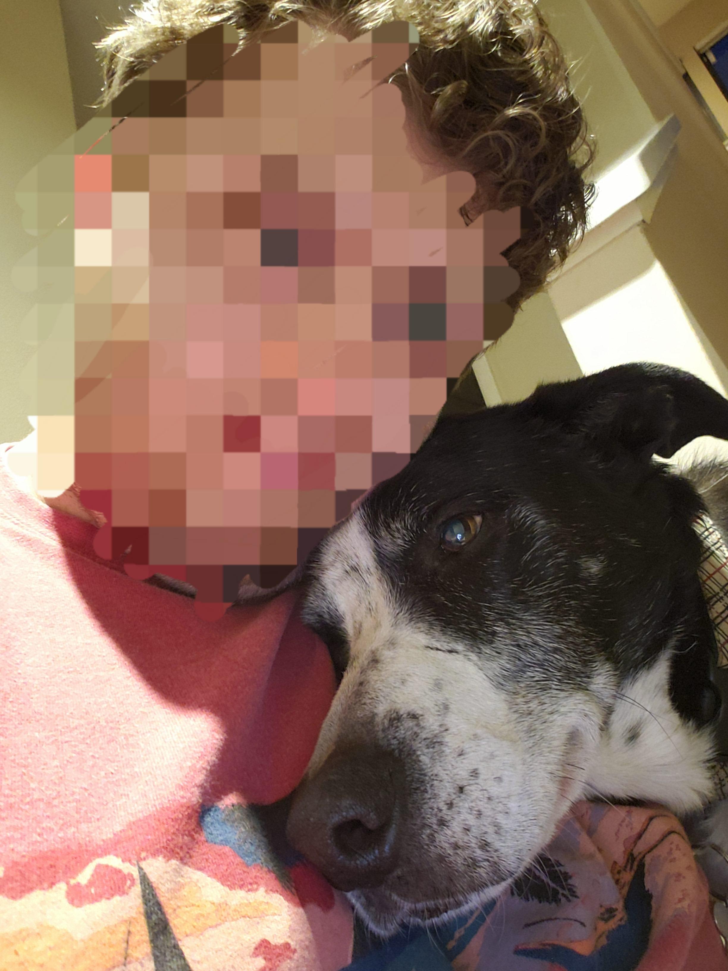 Old gud boi oreo doing a nuzzle | Scrolller Old gud boi oreo doing a nuzzle | Scrolller