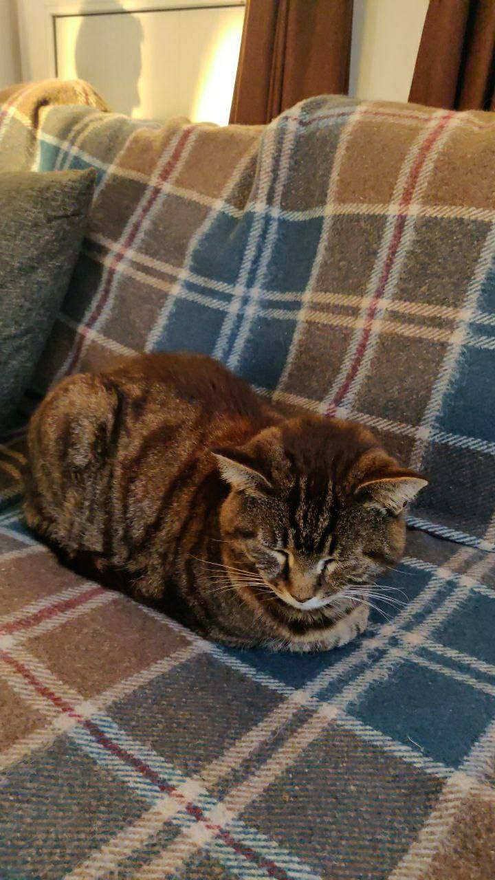 Old Loaf | Scrolller