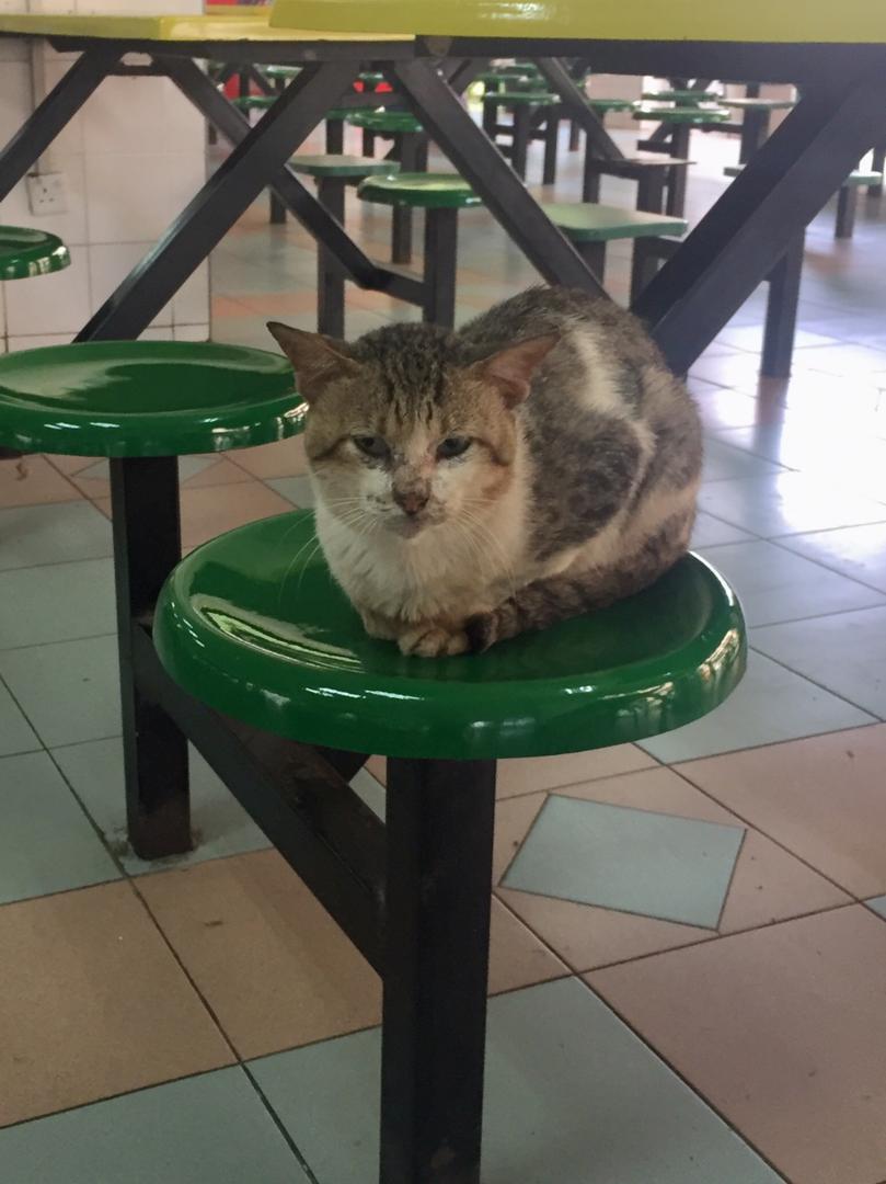 Old loaf | Scrolller