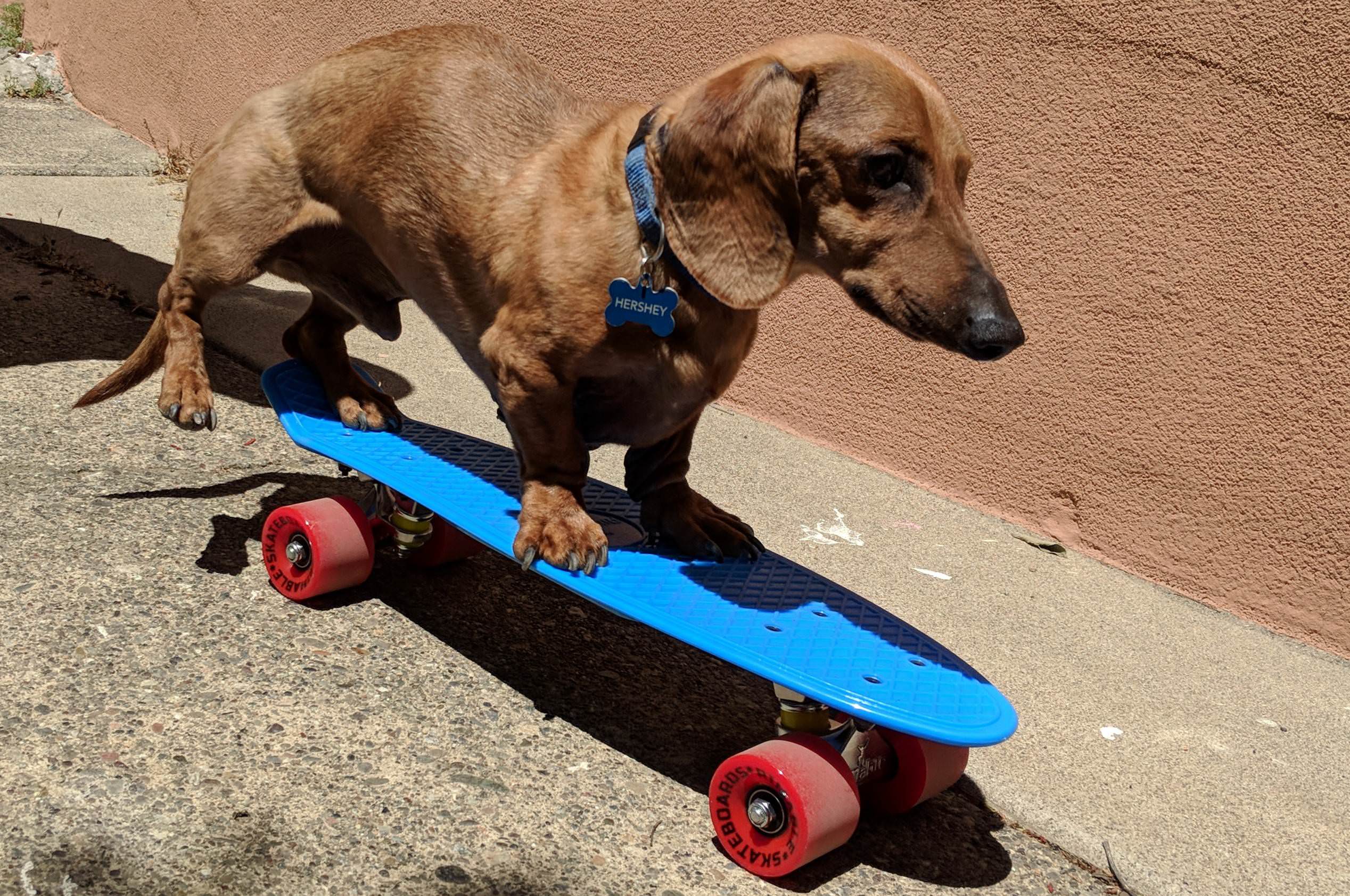 Old School Cool? | Scrolller