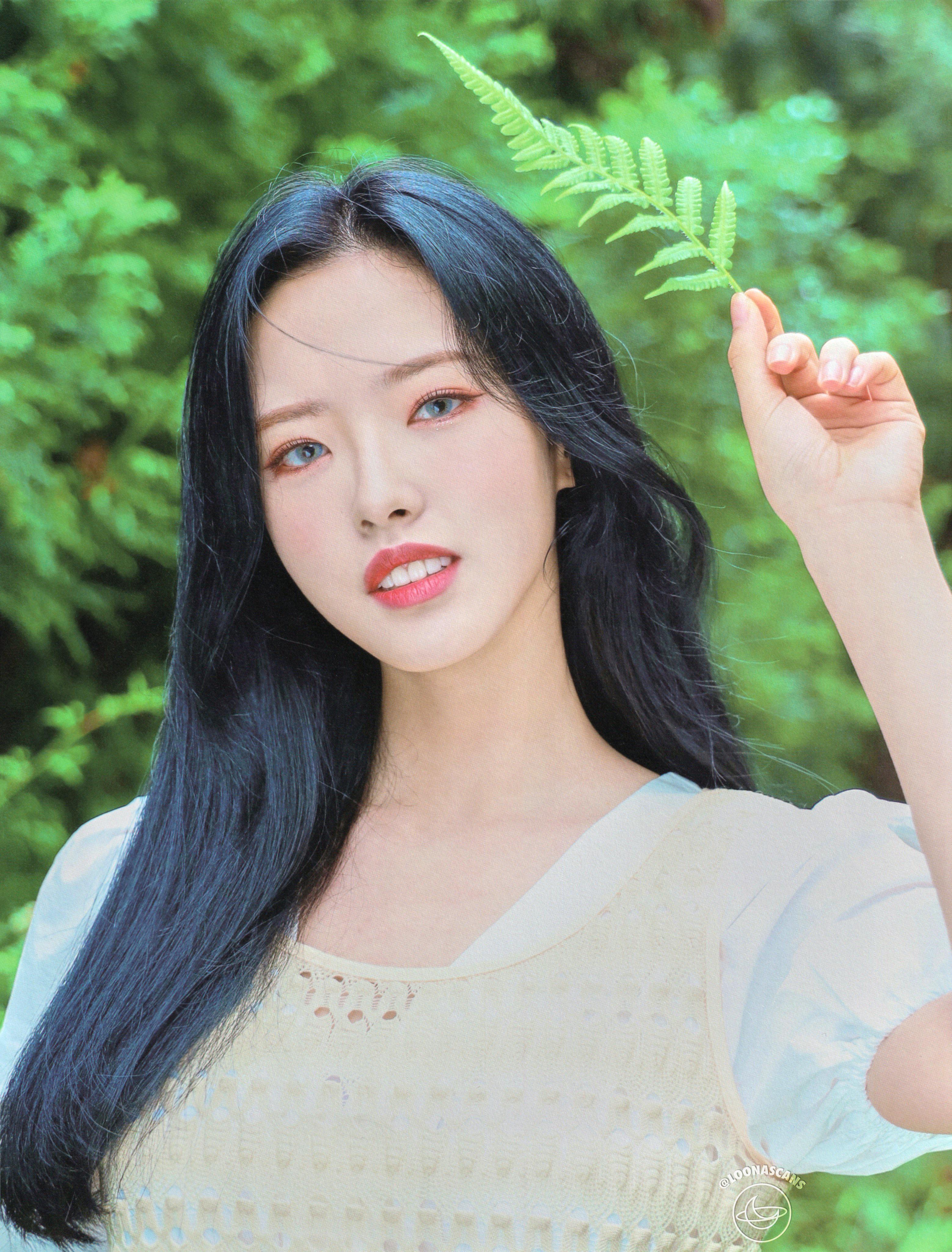 Olivia Hye | Scrolller