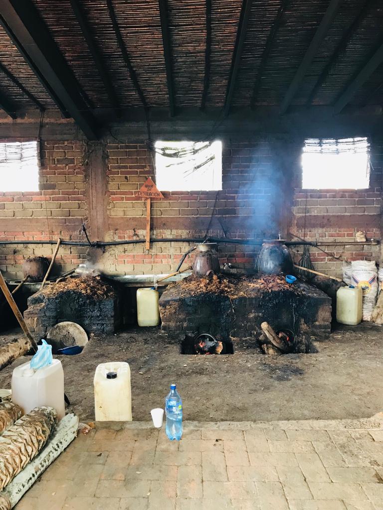 On location at Don Felix Angeles' palenque. Santa Catarina Minas, Oaxaca, Mex | Scrolller